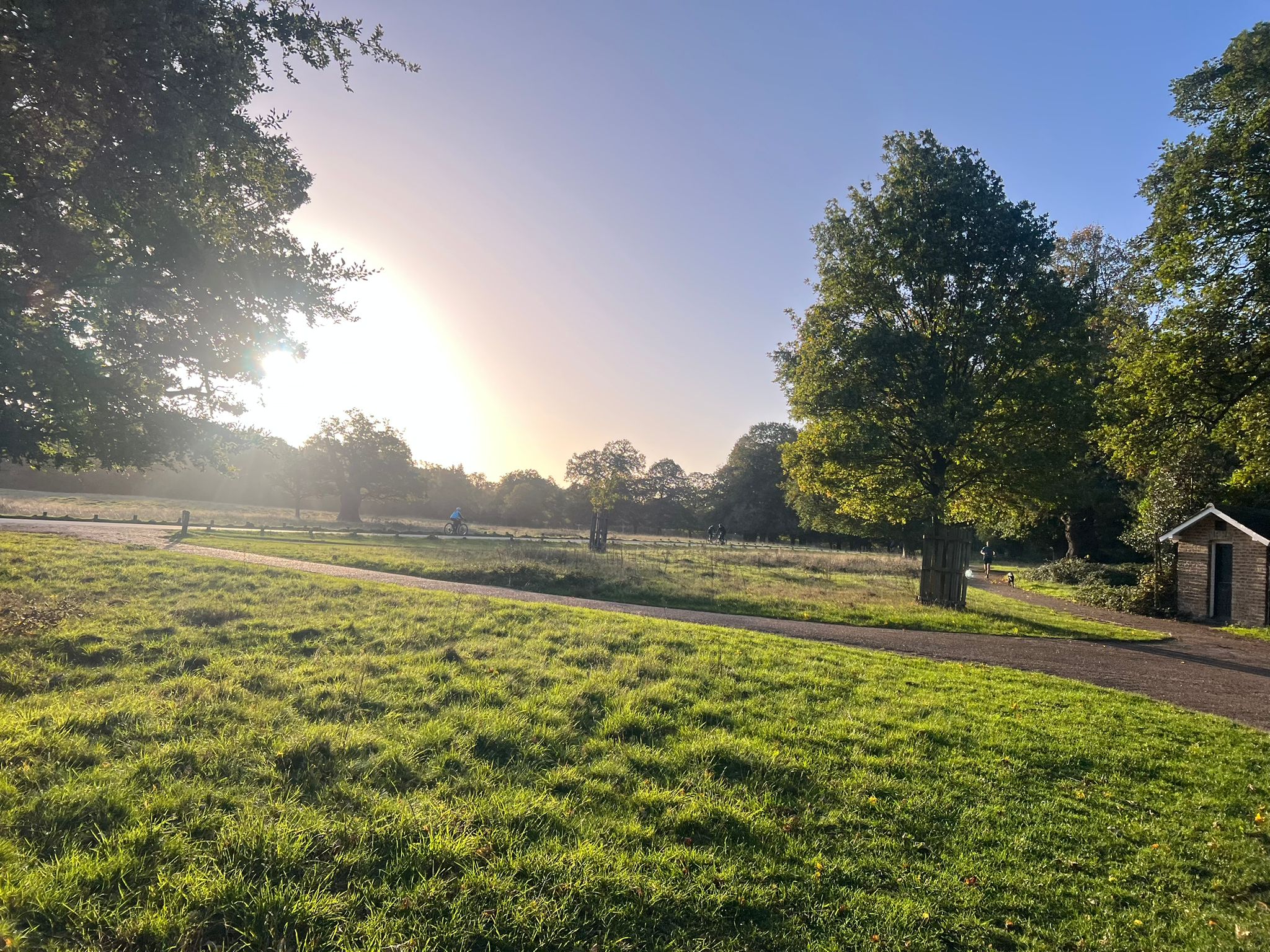 A few thoughts on creativity and how I find my source of inspiration ...